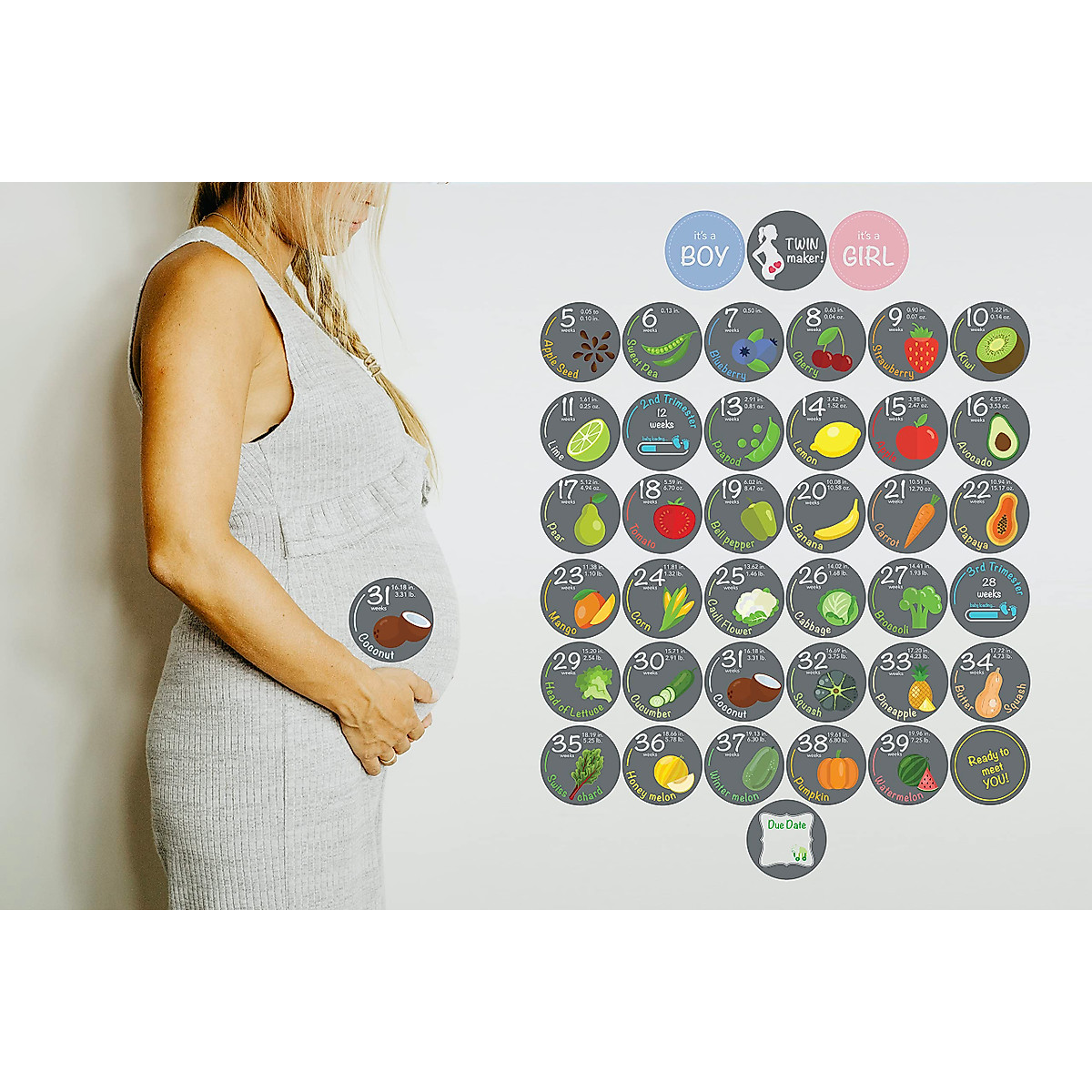 Bump Stickers - 40 Weekly Pregnancy Tracking Stickers – Week 5 to 40 + 4 Bonus Stickers – Pregnancy Photo Prop – Fruit 3.93 Inch