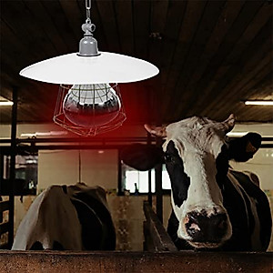 Egg Candler Lamp Farm Livestock Chicken Heat Lamp Holder Piglet Heating Lamp Light Heat Preservation Tools for Replacement Insulation Livestock Fertile Eggs for Hatching Egg Incubator