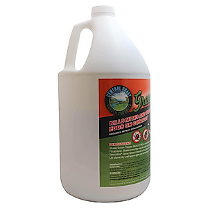 CENTRAL COAST GARDEN PRODUCTS CCGC1128 Green Cleaner Organic Aphid Killer, 1 Gallon