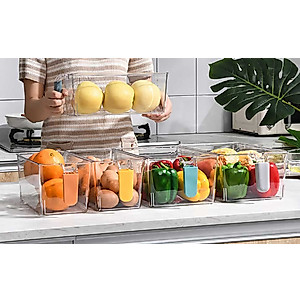 SERENITA Clear food storage bins with handle, refrigerator organizer containers, canister sets for kitchen counter, 12.0x6.9x4.3