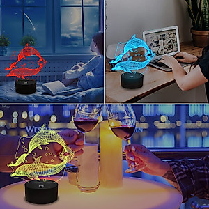 FULLOSUN Dolphin Gifts, 3D Illusion Lamp, Dolphin Night Light for Bedroom Decoration Fashion Style Gifts for Birthday Xmas with Remote Control 16 Color Change + Dim Function + 4 Flash Mode