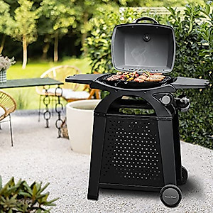 MASTER COOK Gas Grill, BBQ Propane Gas Grill with Side Tables Grill Cart, Portable Tabletop Gas Grill for Patio, Beach, Picnic, Outdoor Camping