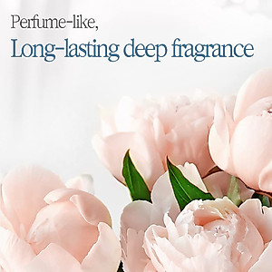 BOUQUET GARNI Fabric Perfume Soft Cotton - Long Lasting Fragrance Fabric and Linen Odor Remover - Odor Eliminator and Neutralizer Spray - Fabric Deodorizer and Refresher - 16.9 Fl Oz