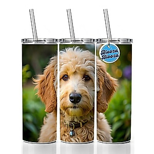 Goldendoodle Dog Photo Skinny Tumbler 20oz with Straw Insulated Water Bottle Gift