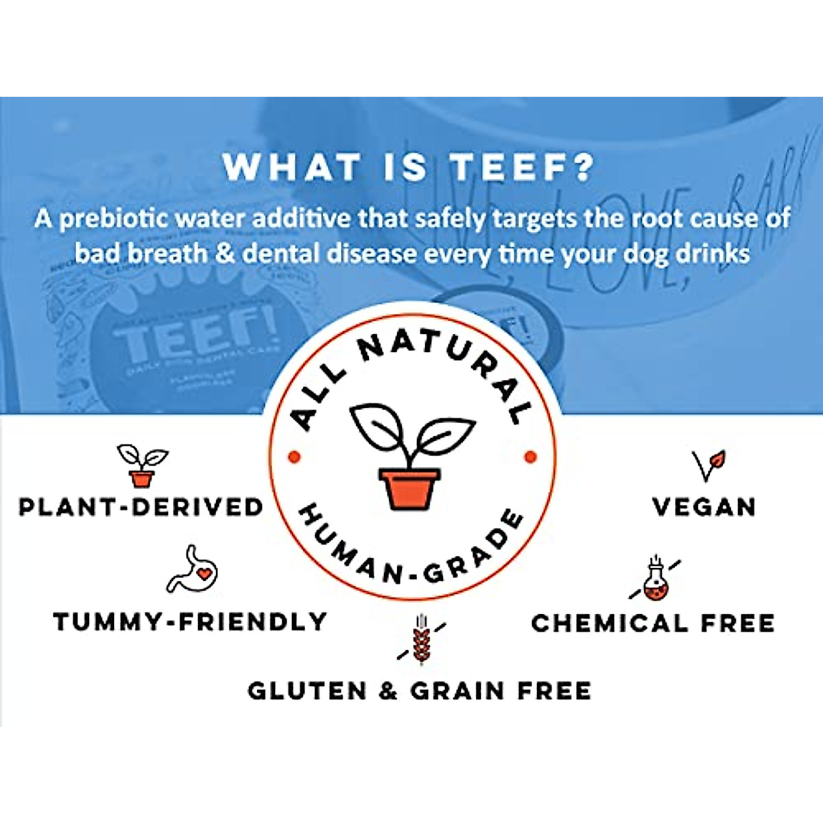 TEEF! Daily Dental Care - Natural Dog Dental Water Additive, 6 Month Supply - Award Winning Protektin42 Formula, Tartar and Plaque Remover - No Brushing, Add to Water Bowl for Healthier Gums
