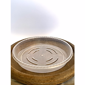 karenplantsplants™ Clear Sturdy Plant Tray Saucer Pack (7.5"- 6 Pack)