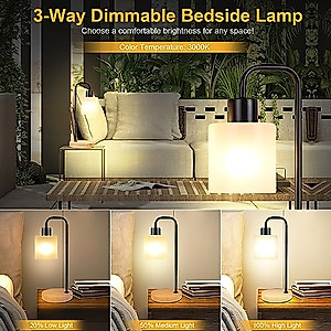 AdiyZ Lamps for Nightstand Set of 2 - Industrial Bedside Table Lamp for Bedroom - Modern Small Desk Light for Living Room 3-Way Dimmable Side Night Lamps for Reading (Black & 2 LED Bulbs Included)