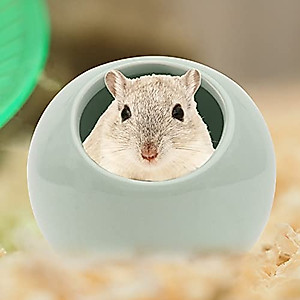 POPETPOP Small Animal Pet House Ceramic Nest Cool Bed Hamster Hideout House Hut Cave for Chinchillas Hamster Gerbils Hedgehog Green