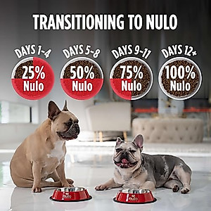 Nulo Freestyle All Breed Senior Dry Dog Food, Premium Grain-Free Dog Kibble with Healthy Digestive Aid BC30 Probiotic and Chonoitin Sulfate for Hip & Joint Support, 6 Pound (Pack of 1)