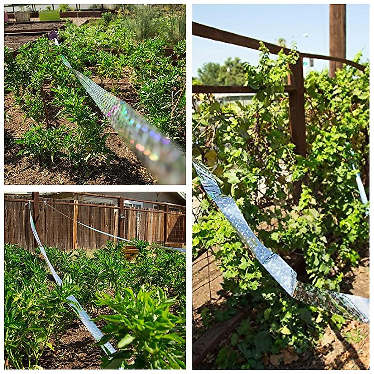 XoreArt Reflective Scare Tape, Double Sided Tape to Keep Away Birds, Pigeons, Crows, Woodpecker, and More (1” by 298 ft)