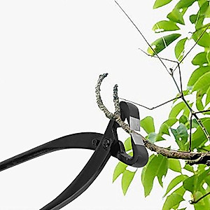 Bonsai Tools, Professional Grade Sharp Stems Branches Cutters Bonsai Cutter Bonsai Trimming Tools Bonsai Trimmers for Bonsai Pruning Garden Bonsai Tools(210mm)
