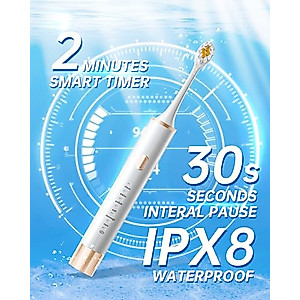 Aneebart Sonic Electric Toothbrush 2 Pack，Electric Toothbrush for Adults，Travel Electric Toothbrush Includes 12 Brush Heads，IPx8 Waterproof （Black & White ）