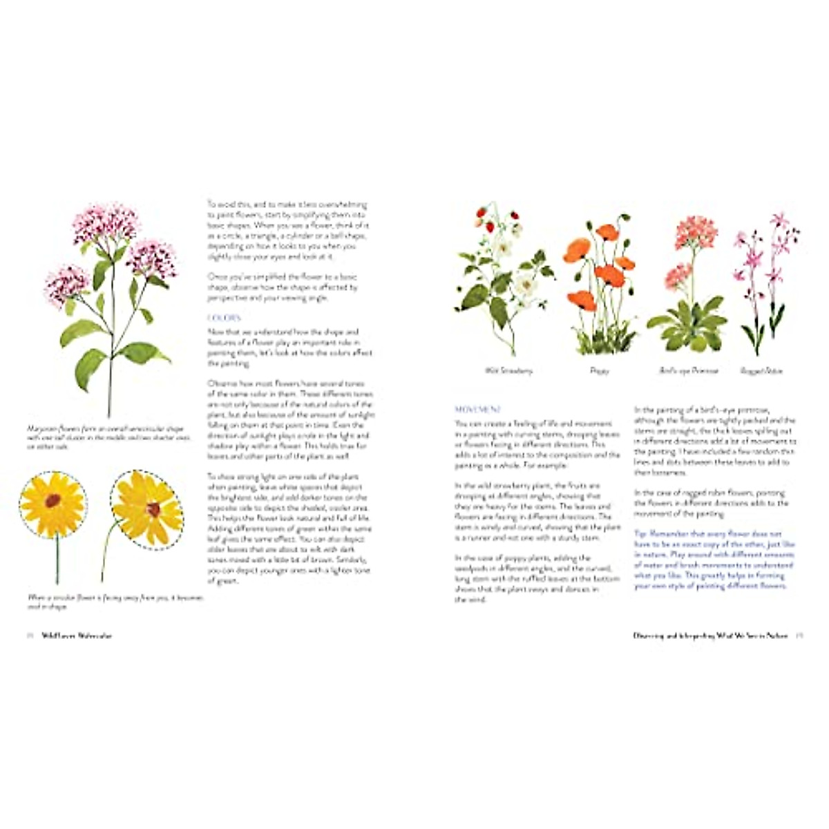 Wildflower Watercolor: The Beginner’s Guide to Painting Beautiful Florals
