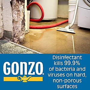 Gonzo Disinfectant Spray & Multipurpose Cleaner - 24 Ounce (2 Pack) Citrus - Odor Eliminator, Disinfectant, Flood Fire Water Damage Restoration