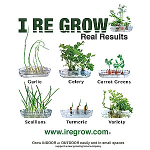 Indoor Gardening System/Small/No Electricity Needed/All Year Round/Hydroponic Growing The Easy Way/Propagate-Regrow in Your Kitchen/I Re Grow
