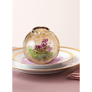 Serene Spaces Living Set of 48 Amber Luster Ball Glass Bud Vase, Short Vases for Centerpieces for Home Decor, Events, Weddings, Measures 3" Tall & 2.75" Diameter