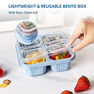 DESLON 4 Pack Snack Containers for Kids Adults, 4 Compartment Bento Snack Box, Reusable Meal Prep Lunch Containers with Compartment, Divided Small Snack Containers Bento Box for Travel Work