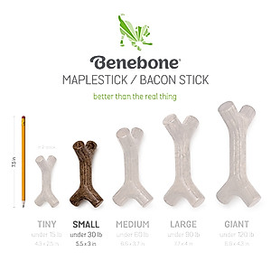 Benebone 2-Pack Maplestick/Zaggler Durable Dog Chew Toys, Real Maplewood, Real Bacon, Made in USA Small