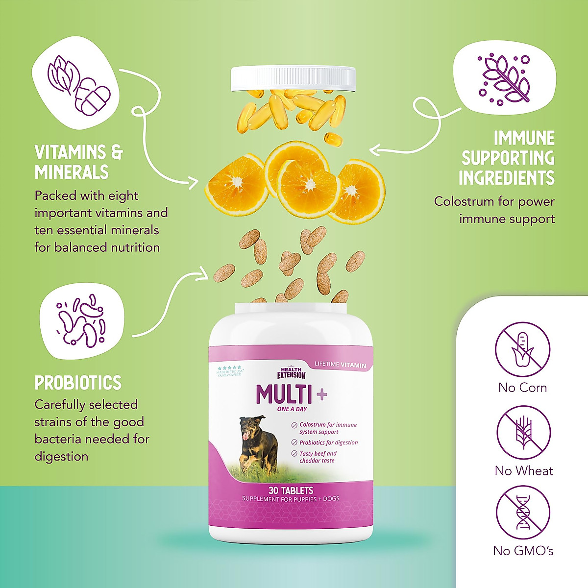 Health Extension Bundle - Dry Dog Food Chicken & Brown Rice Recipe (4 lbs) & Multivitamin (30 Tablets) - High-Protein, Balanced Nutrition for Dogs of All Life Stages