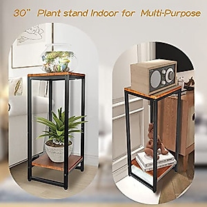 Jo.Devivre 30 inch tall plant stands Indoor ,Tall Metal Single Plant Holder, 2 tier Pedestal Stands, Modern Corner Square Flower Tall Plant Tables Indoor Outdoor (Style D-2 tier)