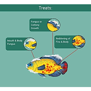 Aquarium Water Conditioner - Supratect, 100% Plant Based Fish Health Conditioner (4 oz Bottle)