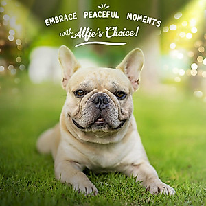 ALFIE'S CHOICE Dog Calming Chews - Dog Anxiety Relief Stress & Separation Support - Pet Hemp Calming Chews for Dogs All Breeds - Calming Dog Treats Soft Chews - 12 oz, Appx 160 Count