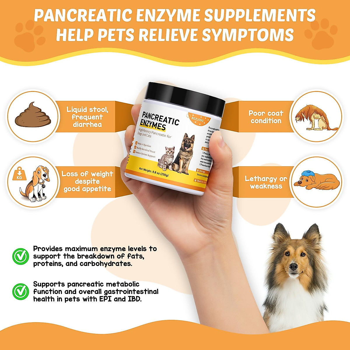8.8 Ounces Pancreatic Enzymes for Dogs | 10x Pancreatin Formula |Dog Digestive Enzymes for EPI Pets | Support Digestive Stress, Pancreatic Concerns, and Healthy Weight Management