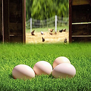 Oziyrnka Chicken Nesting Pads, 6Pcs 12"x12"x1.22" Washable Plastic Nesting Pads for Chicken Coop+ Chicken Veggies Holder for Hens 1pcs, Nesting Box Pads for Chicken Coop, Reusable Chicken Box Nesting
