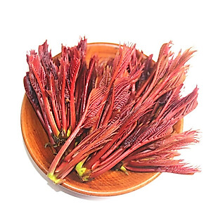 Chinese Mahogany Live Plant Tree Seedings,14-17inch Height Chinese Red Toon Tree Great for Home and Garden Yards Planting