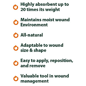 Pivot Calcium Alginate Wound Dressing – All-Natural First Aid | 4x4 Dressings, Box of 10