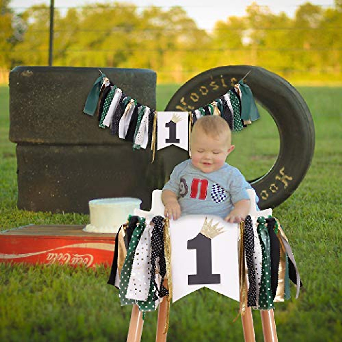 Wild One 1st Birthday Banner - Green and Black Wild One Birthday Decorations for Child’s 1st Birthday Party - Wild One Cake Smash Backdrop (Green Wild ONE)