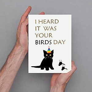 Dapofajo Birthday Card from Cat, Pun Cute Birthday Card for Friend, Funny Cat Gift Birthday, Cat Lover Birthday Card, Cat Dad Cat Mom Card…