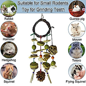 Rabbit Chew Toys for Teeth, Handmade Rabbit Toys for Bunnies, Natural Guinea Pig Chew Toys with Balls, Timothy Hay, Apple Wood for Chinchilla Gerbil