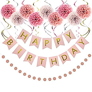 LITAUS Rose Gold Birthday Decorations - Pack of 20 | Happy Birthday Banner, Tissue Paper, Swirls, Garland | Happy Birthday Decorations | Birthday Decorations for Women | Birthday Party Decorations