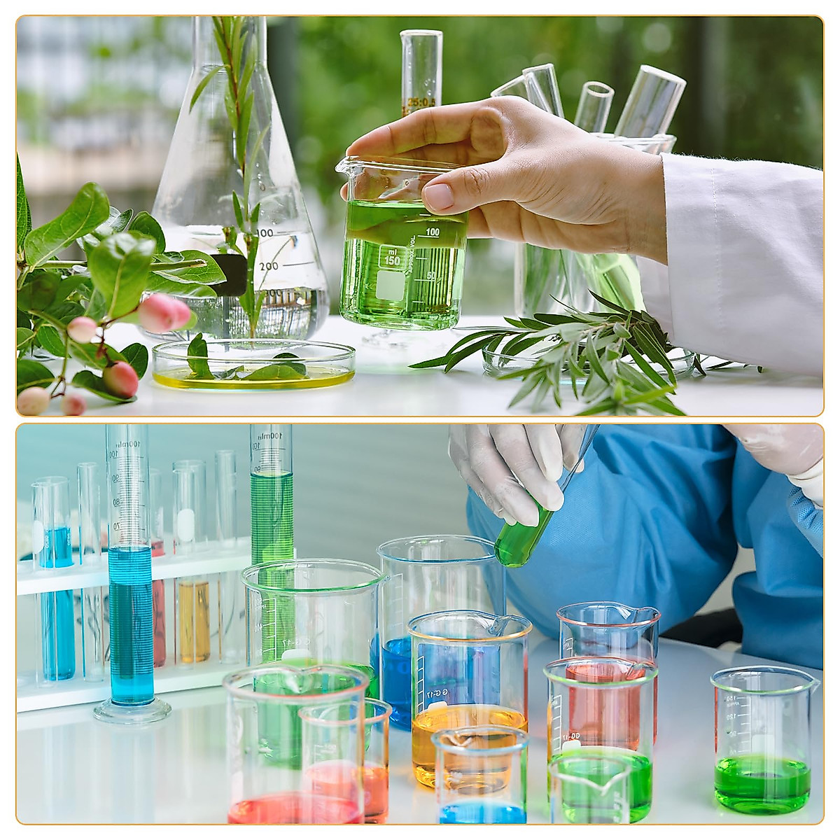 PATIKIL 50ml Low Form Glass Beaker, 12 Pack 3.3 Borosilicate Glass Graduated Printed Scale Measuring Cups with Spout for Kitchen Lab Liquids