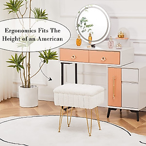 Wimarsbon Storage Ottoman, Vanity Stools with Metal Legs, 16.5" x 11.8" x 18" Modern Faux Mink Fur Footstool, Makeup Chair with Anti-Slip Feet, Accent Table,Footrest,Storage Bench for Bedroom