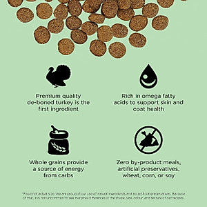 Bundle of GO! Solutions Skin + Coat Care - Salmon 3.5lb + GO! Solutions Skin + Coat Care - Turkey 3.5lb for Dogs