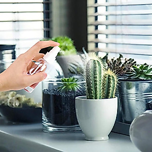 ROISOOT Small Spray Bottles for Multi-Use with 41 pcs Labels, Mini Size (1oz and 2oz) Best for Travel, Fine Mist Water (6 pack)