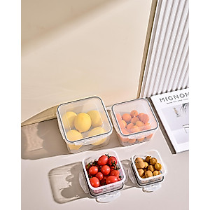Class Frogs 32 high-capacity food storage containers (16 containers+16 lids), lunch box, bread storage box, pantry and kitchen container, leak proof, BPA free, Transparent, CNTZ-A111