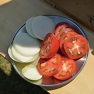 Snow Peak Stainless Steel Tableware Plate L, Silver (TW-034K)