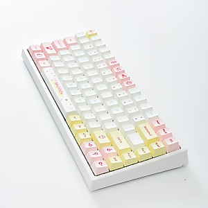 YUNZII Macaron 84 84-Key RGB Hotswap Wired Mechanical Gaming Keyboard with PBT Dye-subbed Keycaps for Mac/Win/Gamers (Gateron Yellow Switch,Macaron)