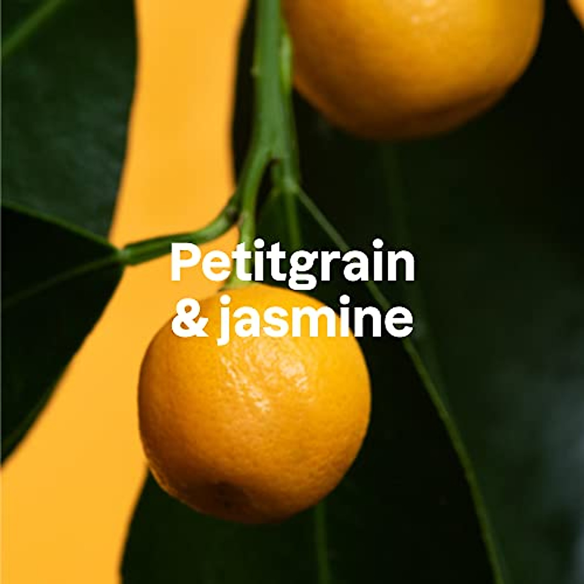 ATTITUDE Hand Soap, EWG Verified, Plant and Mineral-Based Ingredients, Vegan and Cruelty-free Personal Care Products, Refillable Aluminum Bottle, Petitgrain and Jasmine, 16 Fl Oz