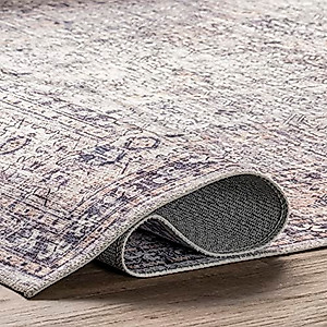 nuLOOM Indy Vintage Stain-Resistant Machine Washable Area Rug, 8' x 10', Grey