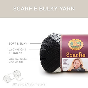 (3 Pack) Lion Brand Yarn Scarfie Bulky Yarn, Black/Hot Pink