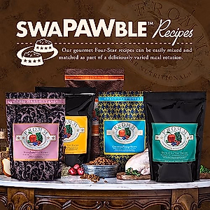 Fromm Four-Star Nutritionals Salmon Tunachovy Cat Food - Premium Dry Cat Food - Salmon Recipe - 10 lb