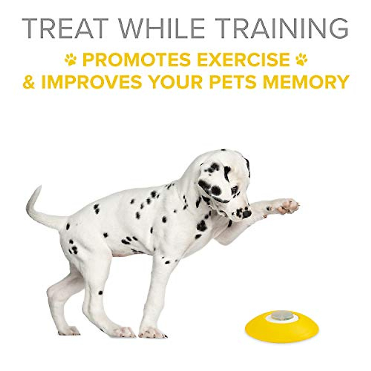 Arf Pets Dog Treat Dispenser with Remote Button – Dog Memory Training Activity Toy – Treat While Train, Promotes Exercise by Rewards, Improves Memory & Positive Training for A Healthier & Happier Pet