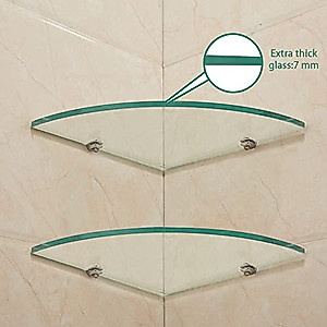 WAKLOND Bathroom Shelves, 2-Tier Bathroom Glass Corner Shelf Wall Mounted ,Tempered Glass Shelf for Storing Seasoning Bottle/Brush/Shower Gel/Soap/Shampoo