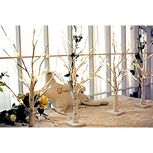EAMBRITE Home Decorations Light Up Tree Indoor,Set of 4, Battery Operated Tabletop Birch/Bonsai Tree Led Lights Money Tree Wedding Party (2FT / Warm White)