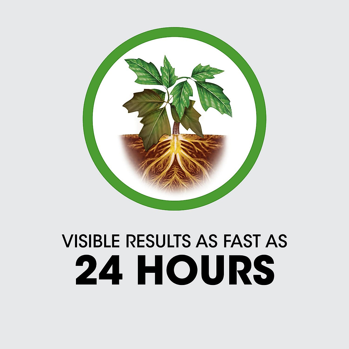 Roundup Ready-To-Use Poison Ivy Plus Tough Brush Killer, for Weeds, Grass, Stumps and Vines, Trigger Sprayer, 1 gal