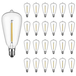 25 Pack Edison LED Light Bulbs, 0.6 watt E12 Screw Base Replacement Bulbs, LED Shatterproof Bulbs ST38 Clear Plastic Light Bulbs for Outdoor Patio ST38 String Lights, Warm White